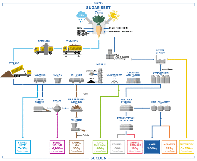 Process Flowcharts – Sugar – Products & Activities – Sucden
