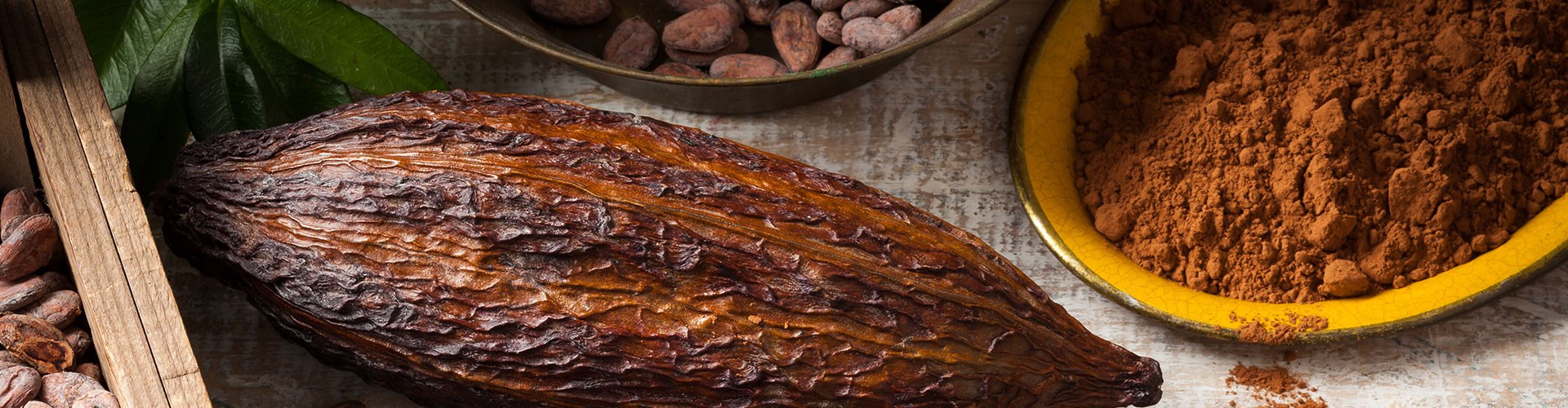 Process Flowchart – Cocoa – Products & Activities – Sucden