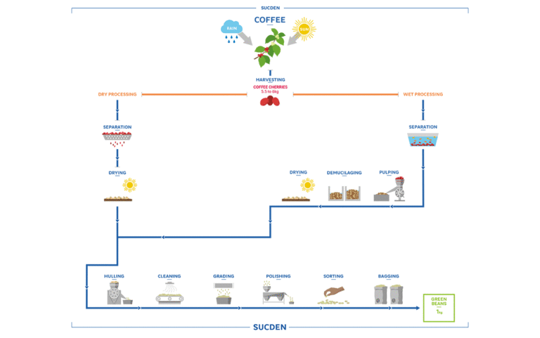 Process Flowchart – Coffee – Products & Activities – Sucden
